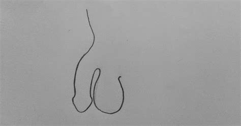 Draw It Neat How To Draw Male Reproductive System