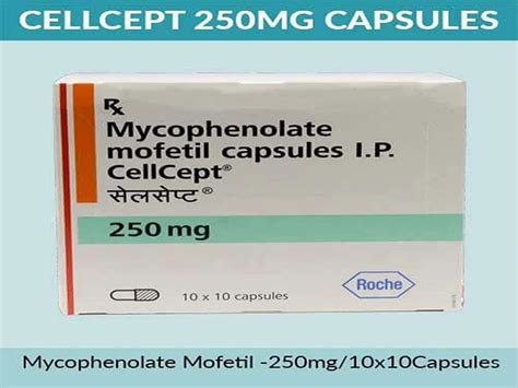Cellcept 250mg Capsules At Best Price In Mumbai By Infinity Lifecare Cellcept 250mg Capsules At Best Price In Mumbai By Infinity Lifecare