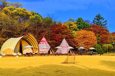 가을 캠핑 어디로 가야 할지 모르겠다면 주목 화려한 단풍뷰가 매력적인 국내 캠핑 여행지 여행을말하다