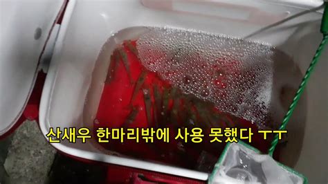 석현아빠의낚시이야기투톤오징어미끼로 우럭공략 Youtube