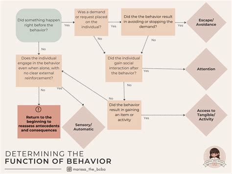 Function Flowchart — Marissa Amat Rogers Ms Bcba