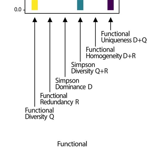 Schematic Illustration Of The Proposed Additive Diversity Download Scientific Diagram