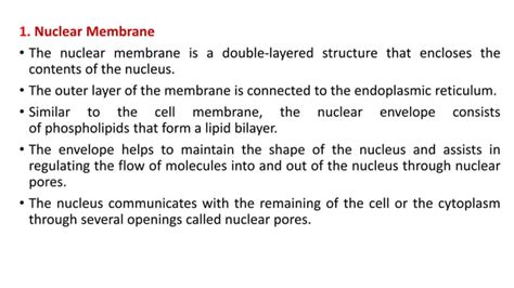 Ultrastructure Of Nucleus And Functions Pptx