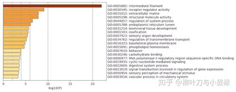 零代码功能富集分析（metascape数据库数据库使用教程） 知乎