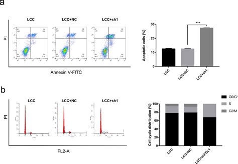 A Apoptosis Assays Total Apoptotic Fraction Is Defined As The Sum Of Download Scientific