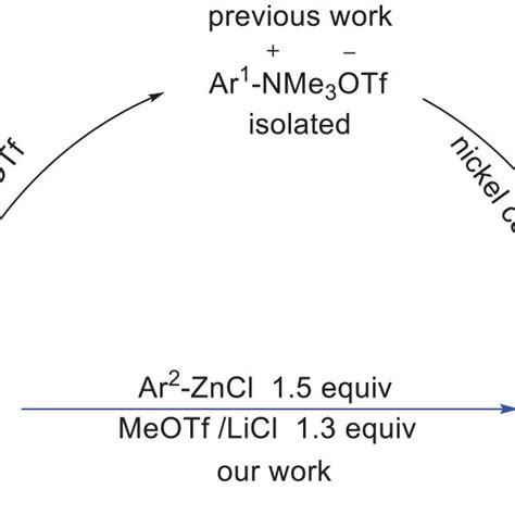 Ni Catalyzed Arylation Of Arylammonium Download Scientific Diagram