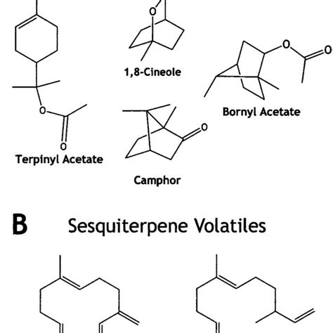 Structures Of Monoterpenes A And Sesquiterpenes B Emitted By