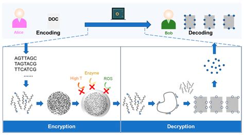 Chemistry Free Full Text Condensed Dna Nanosphere For Dna Origami