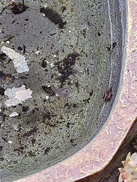 Making A World Map Using ClipArt RPG Maker Forums