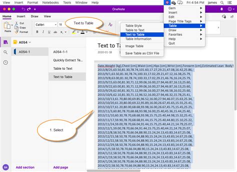 Mac Convert Formatted Text As A Table In OneNote Office OneNote Gem Add Ins