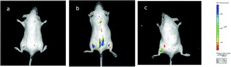 An Effective Biocompatible Fluorescent Probe For Bisulfite Detection In Aqueous Solution Living