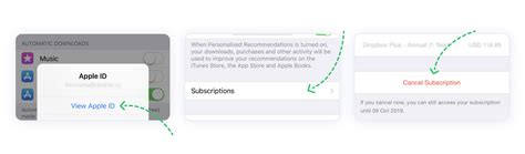How To Cancel Apple Subscriptions On IPhone IPad And Mac