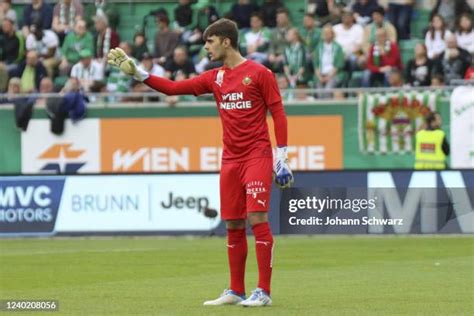 Hedl Photos And Premium High Res Pictures Getty Images