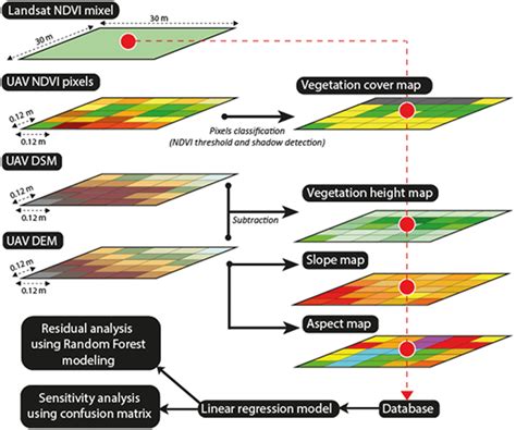 Methodological Workflow Of The Analysis Download Scientific Diagram