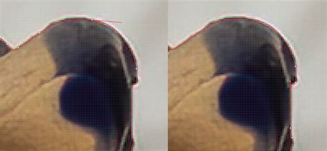 Solved How To Repair A Broken Clipping Path Adobe Community 13646661