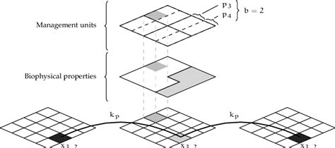 Figure D Schematic Representation Of The Spatial And Temporal Aspect Download Scientific