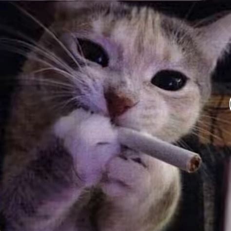 Daniel Chinga Youtube