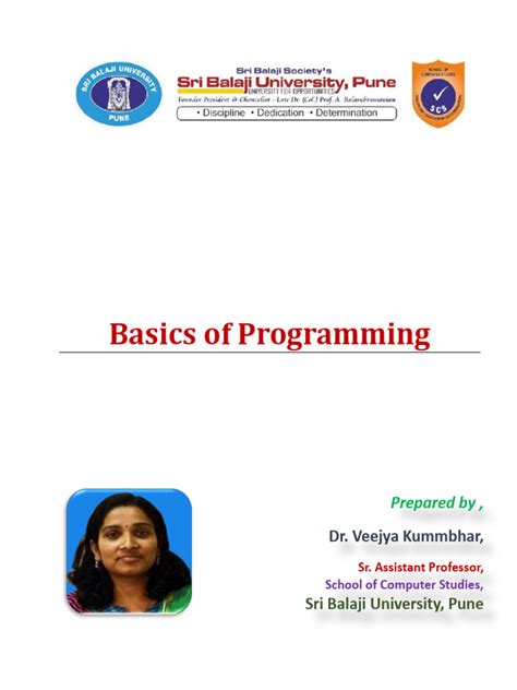 chapter 1 basics of programming pdf computer programming software
