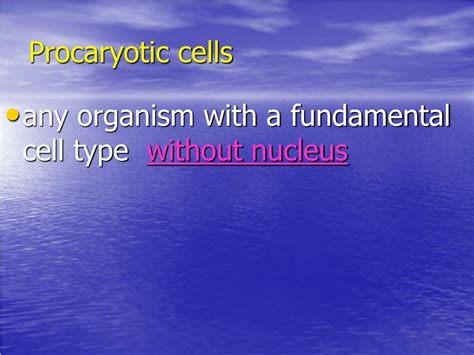 Ppt Bacterial Morphology Procaryotic And Eucaryotic Cells Chapter 4 Powerpoint Presentation