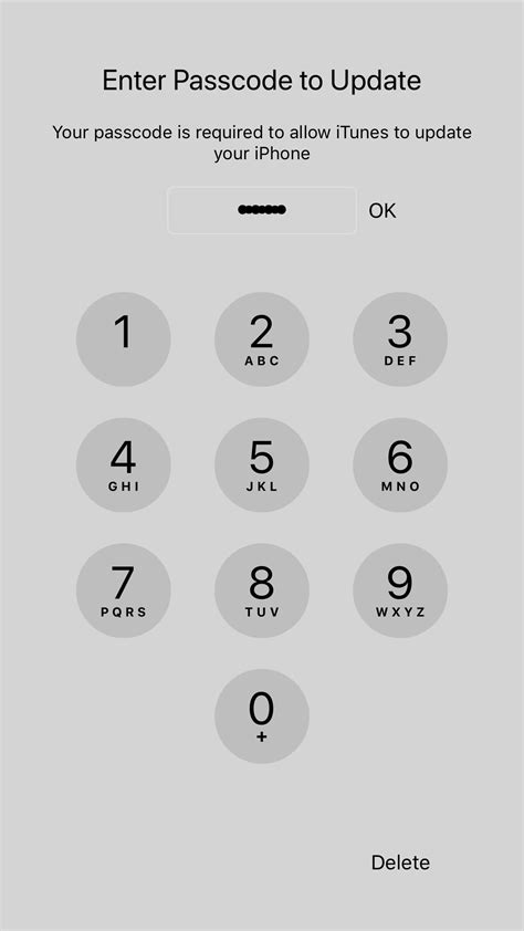 Bug Extra Dots After Inputting The 4th Number On A 5 Digit Password