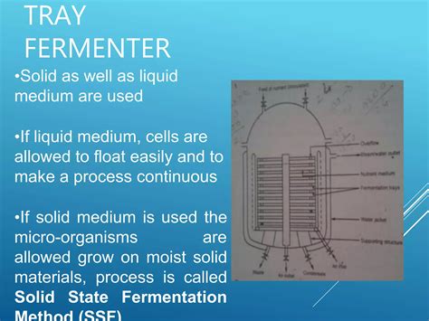 Fermentation Design Types PPTX