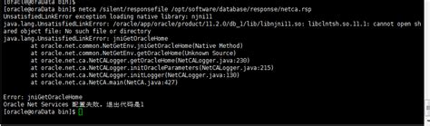 oracle11g静默安装监听错误。native library njni11 大数据 csdn问答