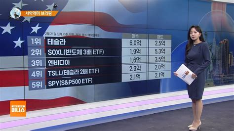 서학개미 브리핑 서학개미 여전한 테슬라 사랑우려·낙관론 팽팽 Sbs Biz