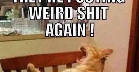 Mods Be Like Album On Imgur