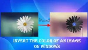How To Invert The Color Of An Image On Windows PC