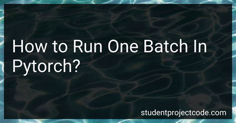 How To Run One Batch In Pytorch In 2024