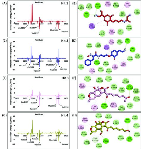 Energy Decomposition Of Individual Residues From Mm Pbsa Contributing