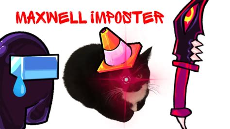Maxwell Cat YouTube