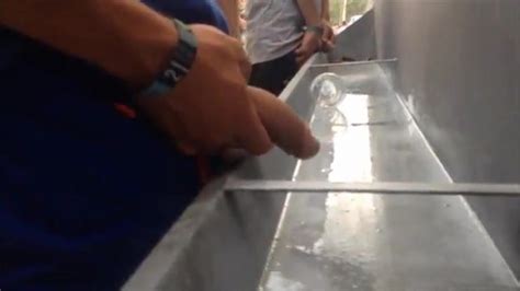 Festival Pissing Thisvid Com