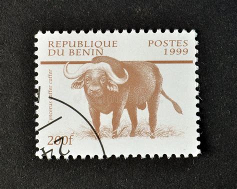 Cancelled Postage Stamp Printed By Benin That Shows African Buffalo Editorial Stock Image