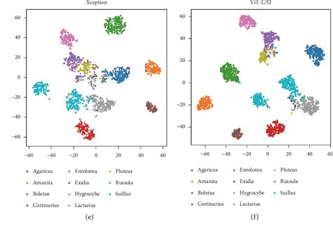 Figure 5 From Automatic Mushroom Species Classification Model For Foodborne Disease Prevention