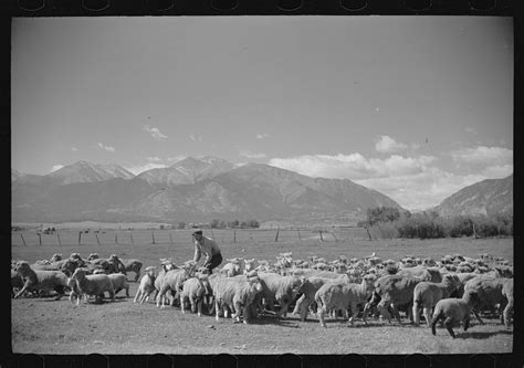 Elmo Images Free Photos Png Stickers Wallpapers And Backgrounds