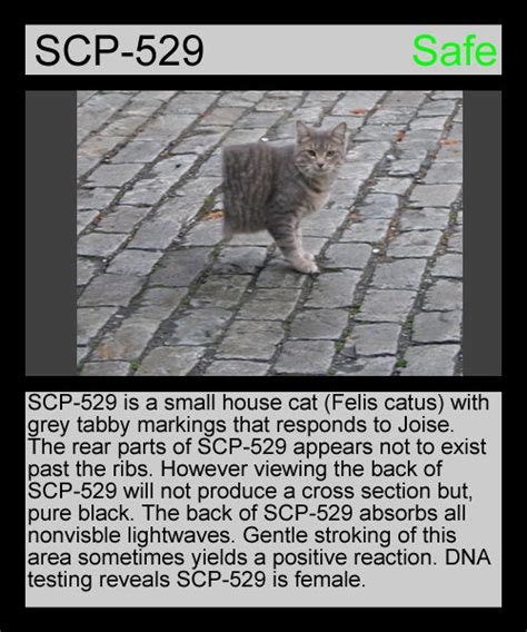 Scp 529 Card By Tuneison On Deviantart