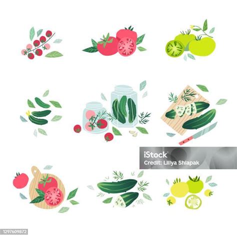 다양한 종류의 토마토와 신선한 녹색 오이가 있는 미니 세트 작은 오이에 대한 스톡 벡터 아트 및 기타 이미지 작은 오이 건강한 생활방식 과일 Istock