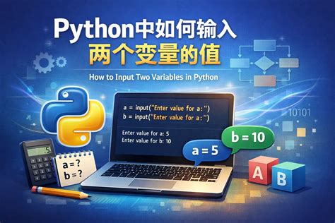Python中如何输入两个变量的值