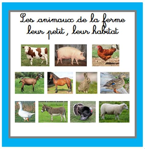 22 Ferme Idées Activité Animaux De La Ferme à Enregistrer Aujourdhui Documentaire Animaux
