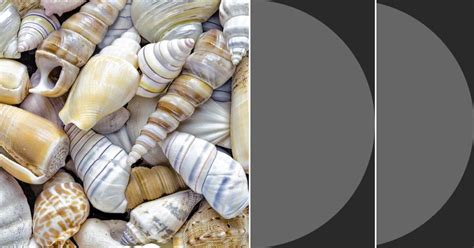 List Cheatsheet Series Curated By Bhavik Nahar Medium