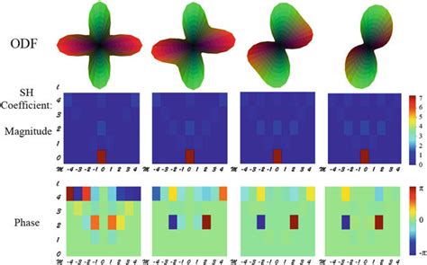 The Top Panel Shows Simulated Odfs For Crossing Fibers With A Rotating Download Scientific