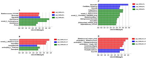 Growth Performance Bone Development And Phosphorus Metabolism In Chicks Fed Diets Supplemented