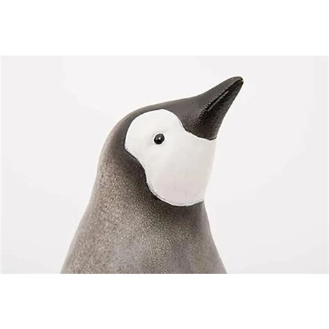 Császárpingvin Fióka