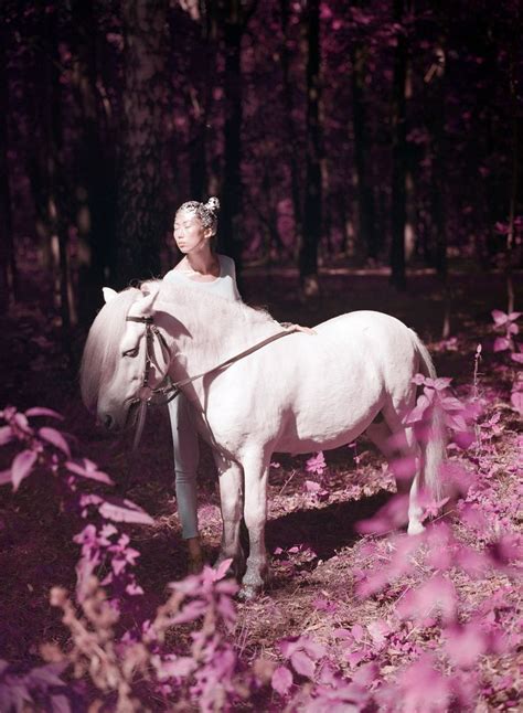 Ss 15 Les And Hsiao Ron Cheng Pink Magic Forest