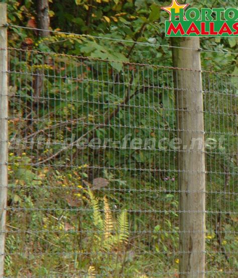 Gallery Anti Deer Fence Net