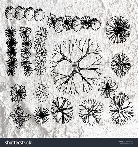 Trees Top View Architecture Landscape Design Stock Illustration 208717450 Shutterstock