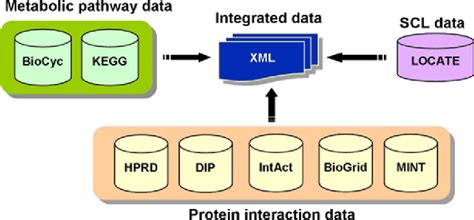 schematic representation of data integration schematic representation