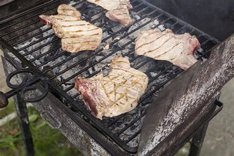 정원에서 바베 큐의 그릴에 요리는 다양 한 종류의 고기 세부 가로 이미지 감정에 대한 스톡 사진 및 기타 이미지 감정 굽기 냄새 맡기 Istock