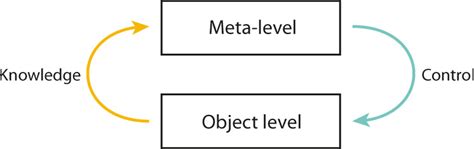 Metacognition Ideas And Insights From Neuro And Educational Sciences
